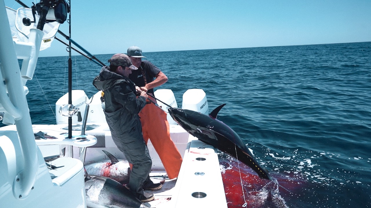 Insane Kite Fishing For Big Bluefin Tuna Aboard 42' Freeman + Epic ...