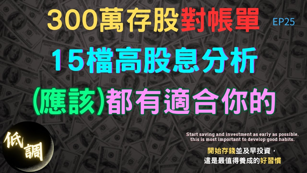 13檔高股息ETF｜都有適合你的｜300萬存股｜定期定額｜00878｜0050｜00679B｜EP25 - YouTube