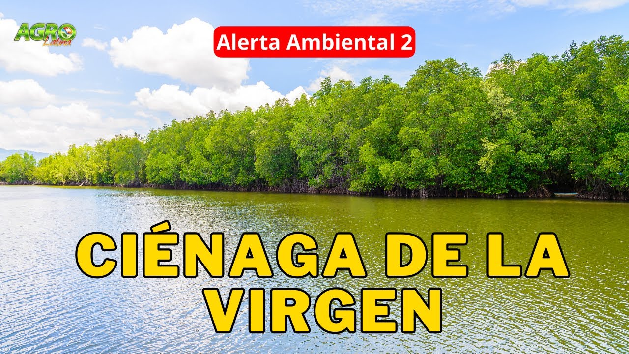 CIENAGA DE LA VIRGEN 2 - YouTube