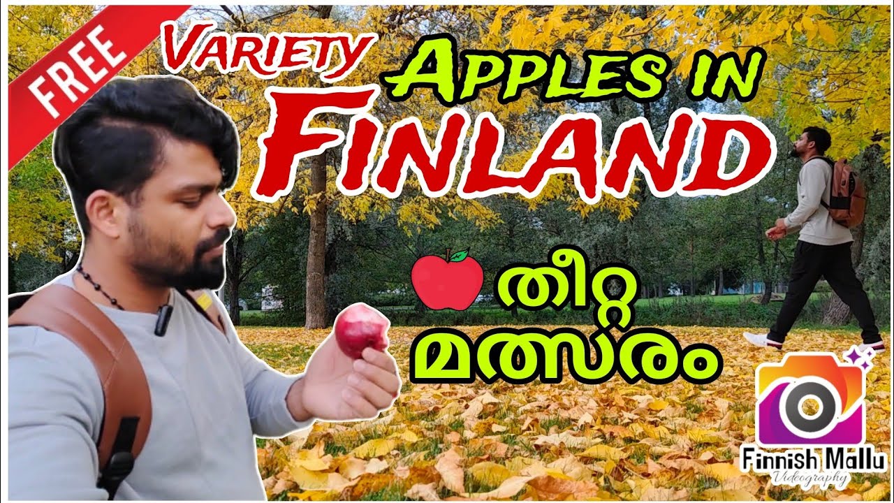 😣 പുല്ല്, വേണ്ടായിരുന്നു😅🍎🍎 Tasting Finland apples | Apple varieties 🍎🍒 ...