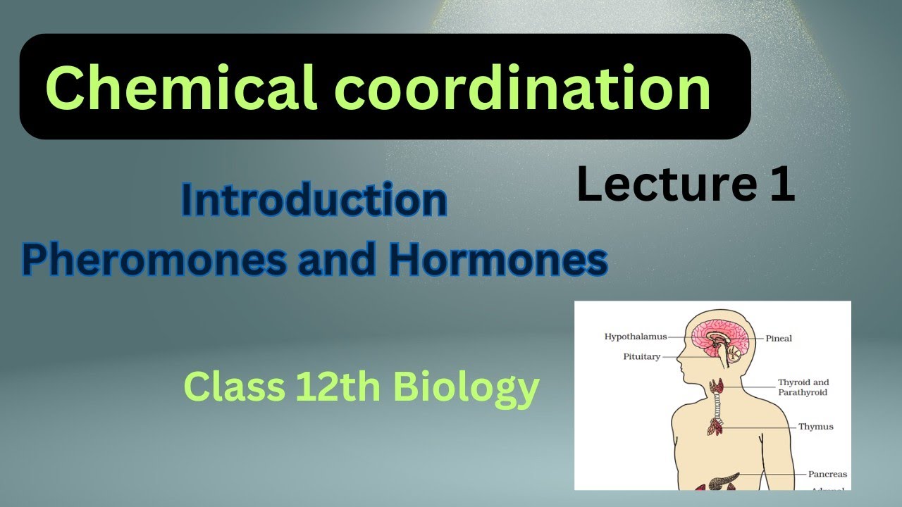 Chemical coordination introduction Neurotransmitters, pheromones and ...
