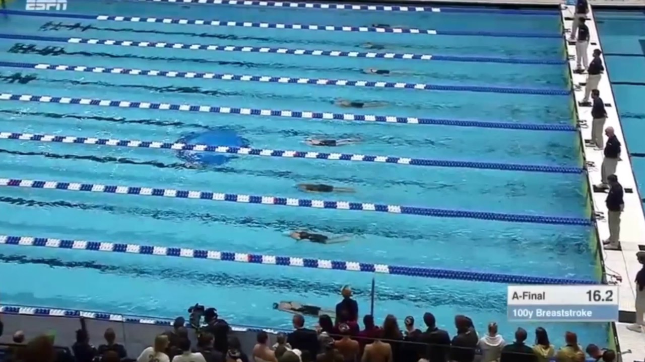 2017 Gopher Women's NCAA Swimming & Diving Highlights - YouTube