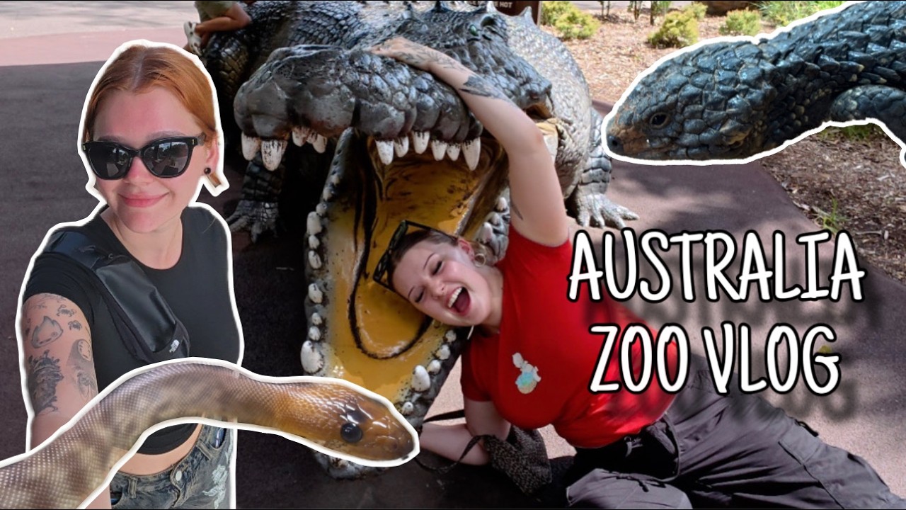 HUGE Crocs and ENDANGERED Snakes | Australia Zoo Vlog 2025 - YouTube