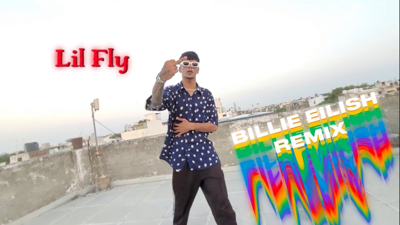 BILLIE EILISH - Lil Fly ( REMIX ) - YouTube