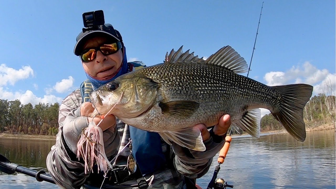 PTP Fishing - Super morning - North Pine Dam - YouTube