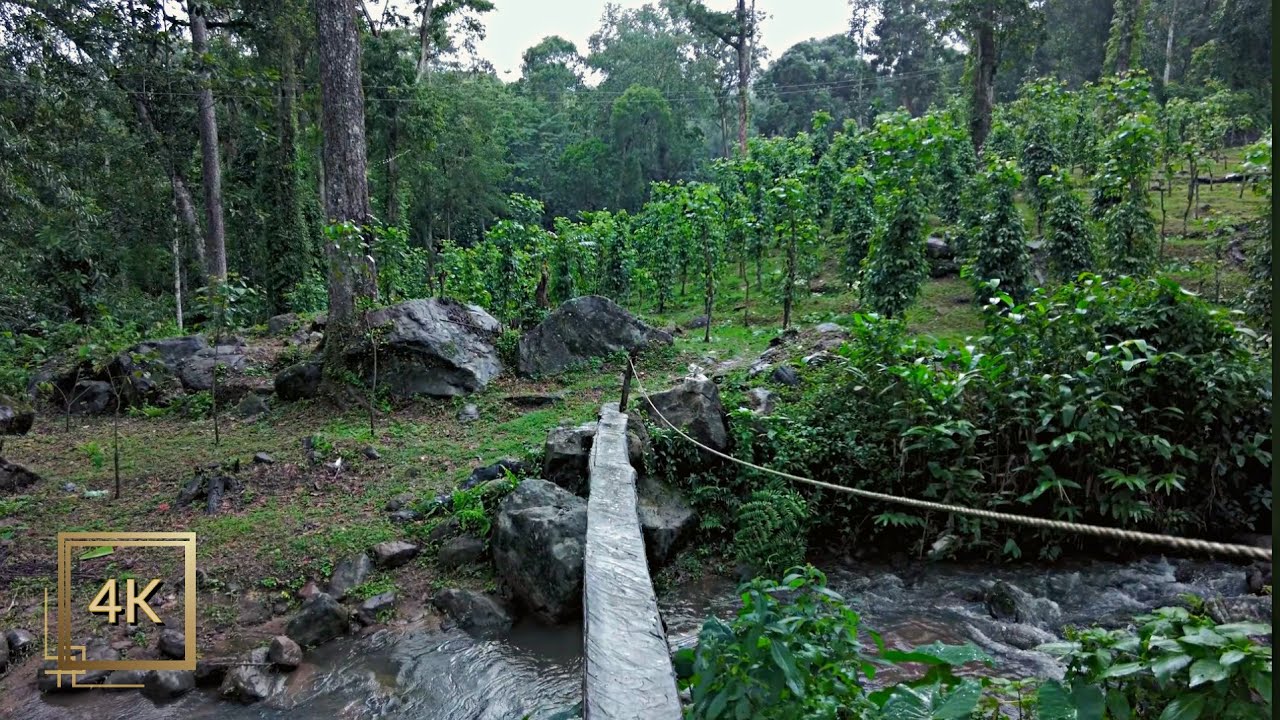 Enjoy the Beauty of Nature and Relax with a Walking Tour Around the ...