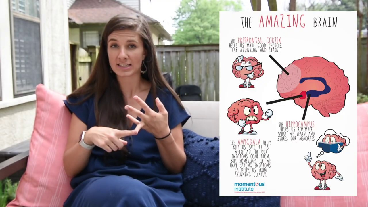 Mindfulness Monday - Brain Basics - YouTube