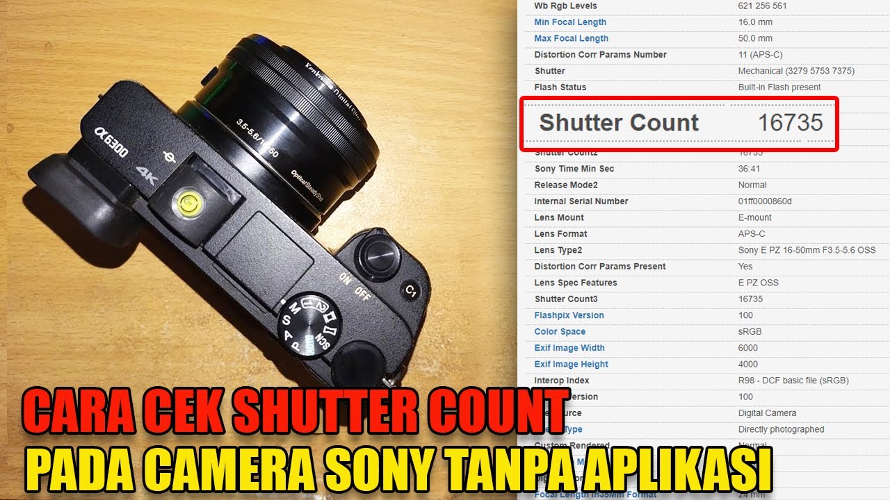 CARA CEK SHUTTER COUNT SONY TANPA APLIKASI - YouTube