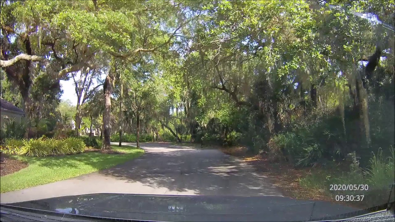My Green Florida - YouTube