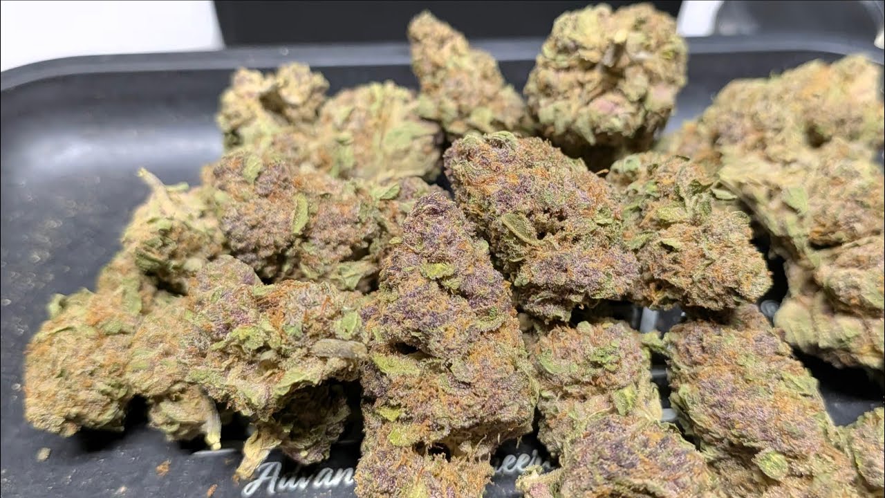 THCA SMALL BUDS | DANK SERIES | DANK PUSH POP Oz! 🍊 Citrusy Goodness ...