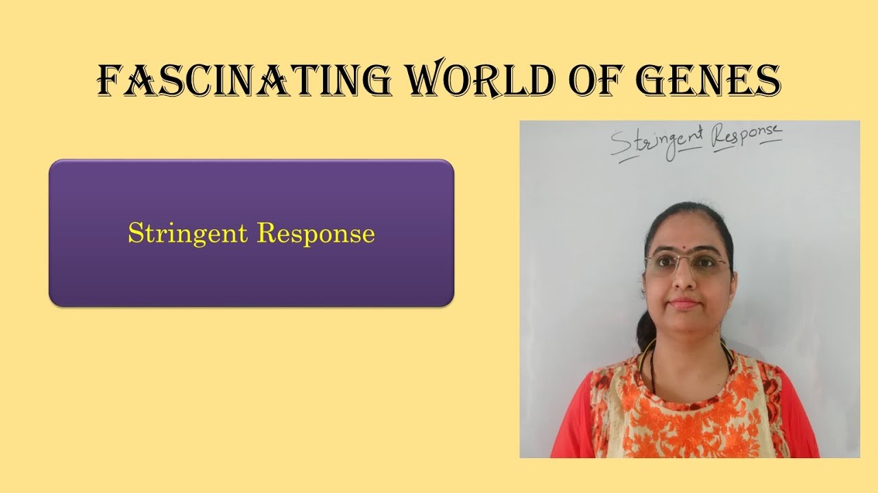 Stringent Response PppGpp PpGpp RelA Stringent Factor YouTube stringent-response-pppgpp-ppgpp-rela-stringent-factor-youtube