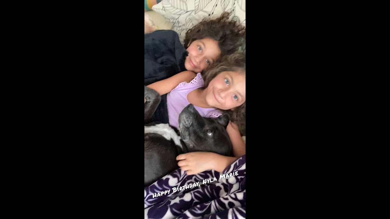 STR- TEXES Science of Teaching Reading- Foundational language skills ...