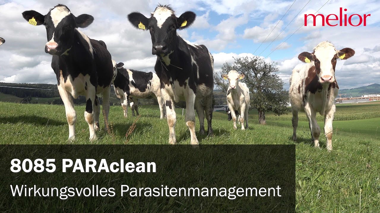 8085 PARAclean – Unterstützt das Parasitenmanagement - YouTube