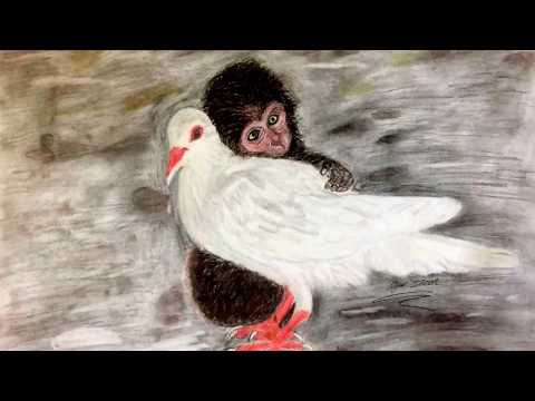 Pastel çalışmaları ve resim sanatı maymun ve Güvercin