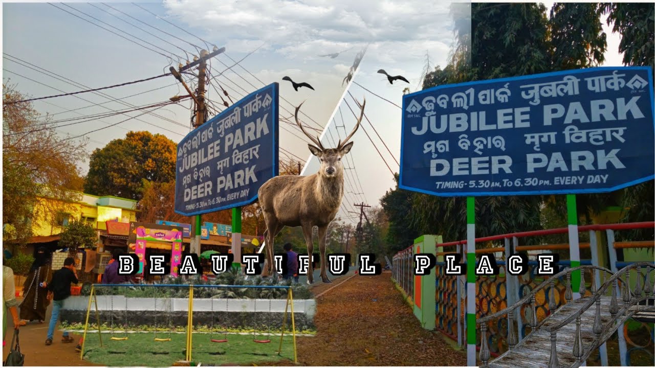 Rourkela Ka Deer Park || Deer Park Of Rourkela.Beutiful Place Vlog ...