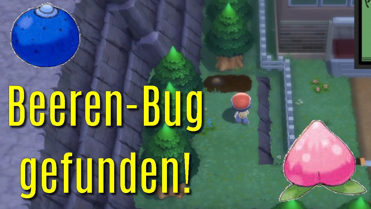 ACHTUNG vor diesem Bug! (Wie man ihm begegnet und wie man ihn wieder ...