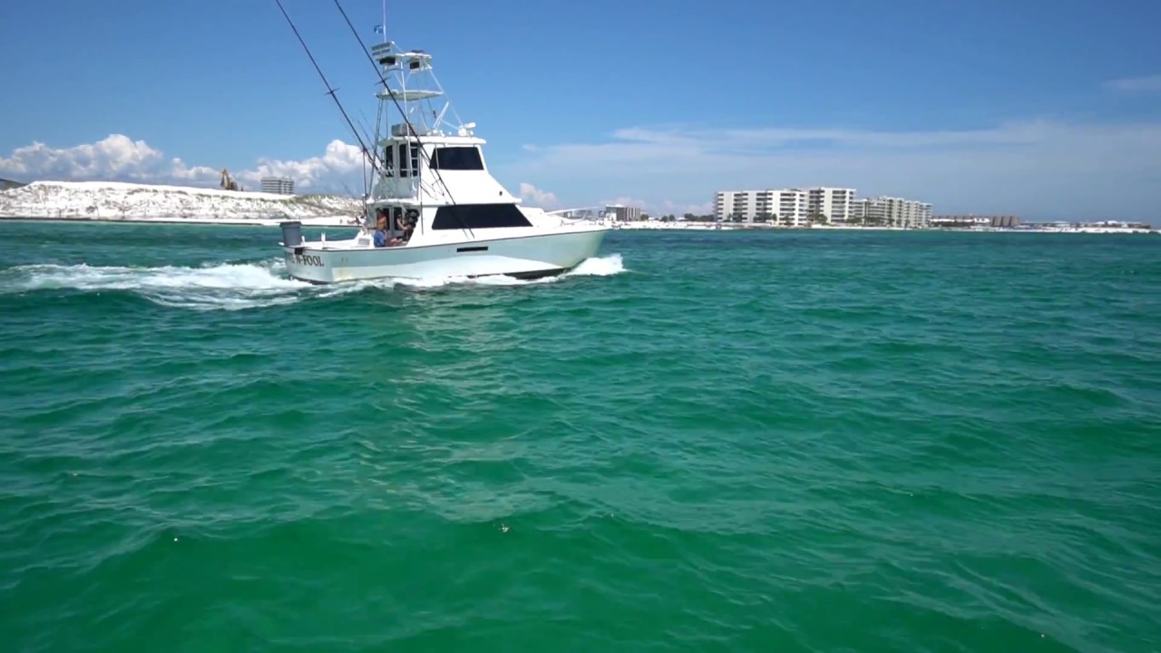 Destin Florida Shark Catch and Boating Montage June 2017 - YouTube