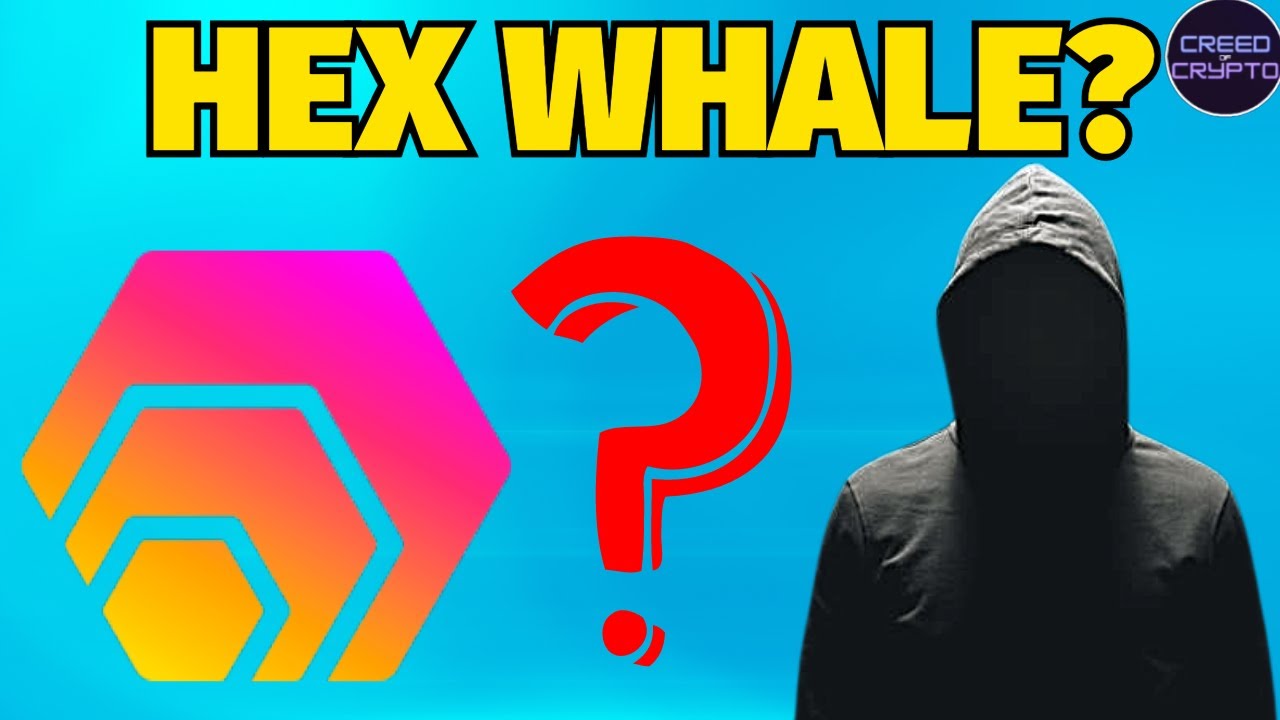 New HEX Whale: What Are His Intentions? - YouTube