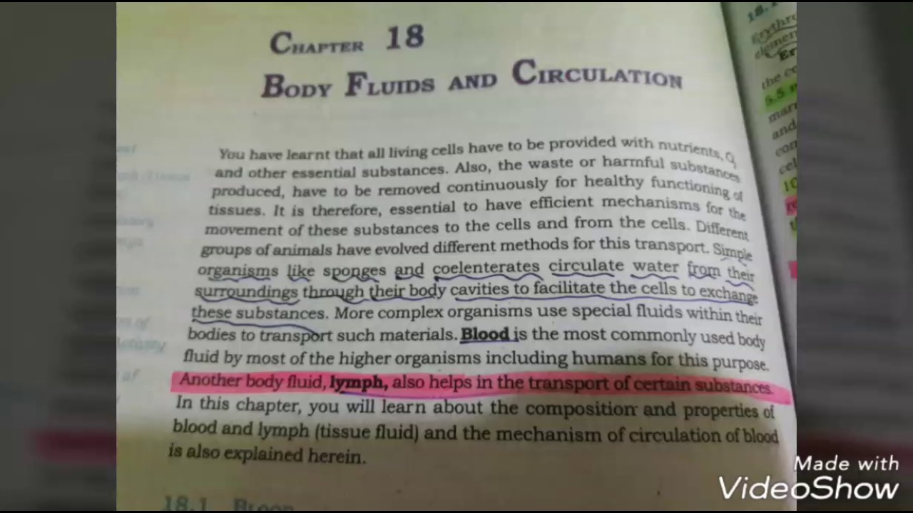 Chapter:-18 Body fluids and Circulation class 11 (NCERT READING) - YouTube
