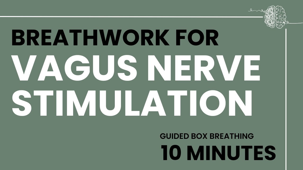 10 Minute Guided Box Breathing For Anxiety A Grounding Breath Work