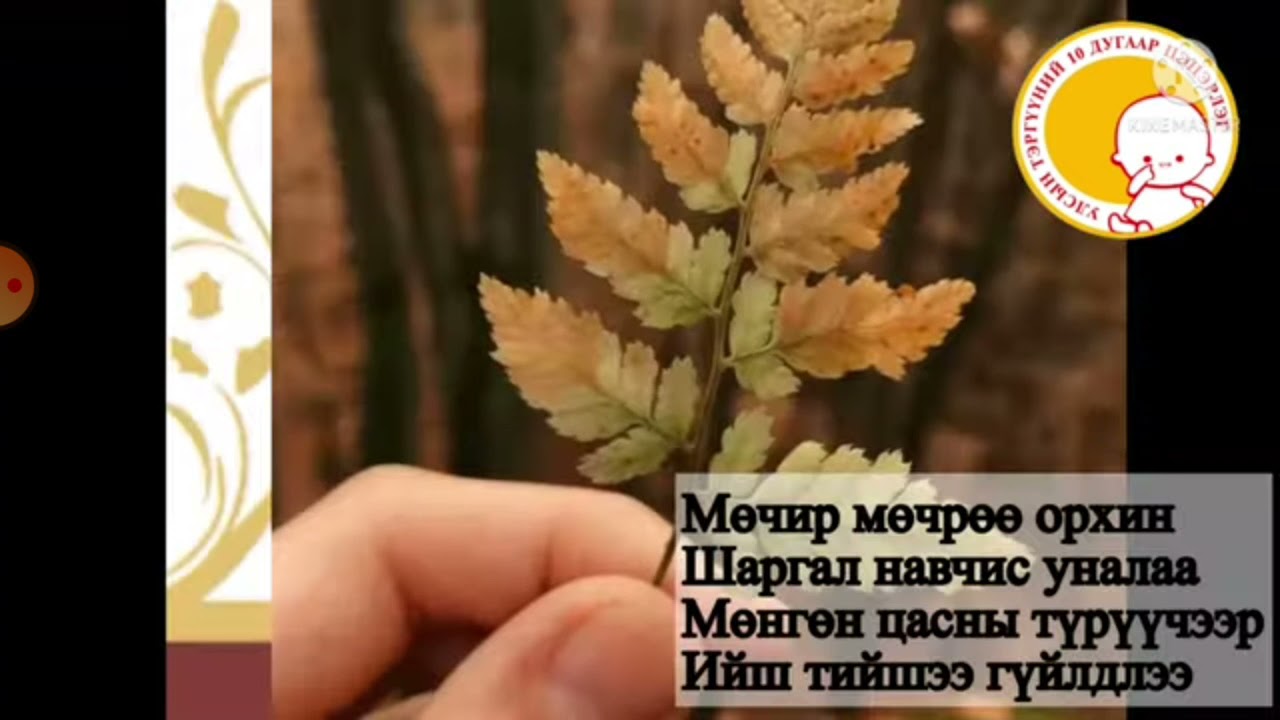 алтан навчис дуу Youtube