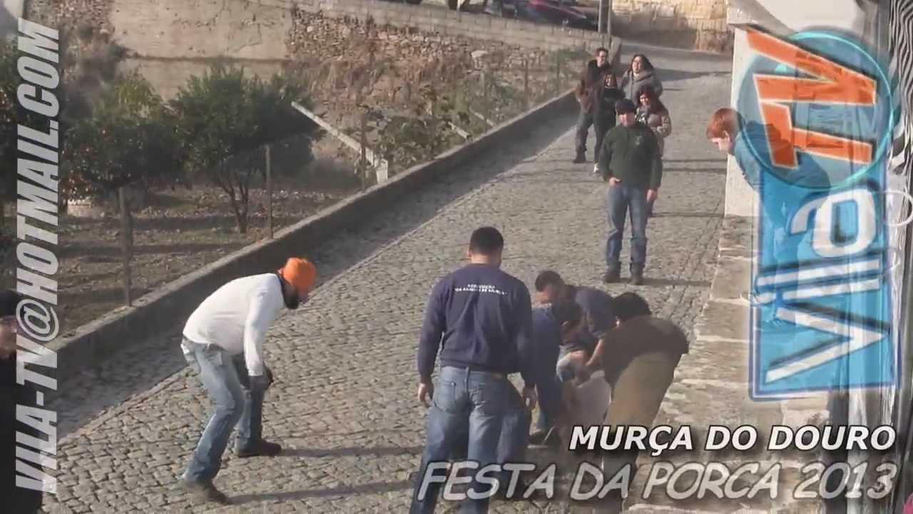 FESTA DA PORCA 2013 MURÇA DO DOURO - YouTube