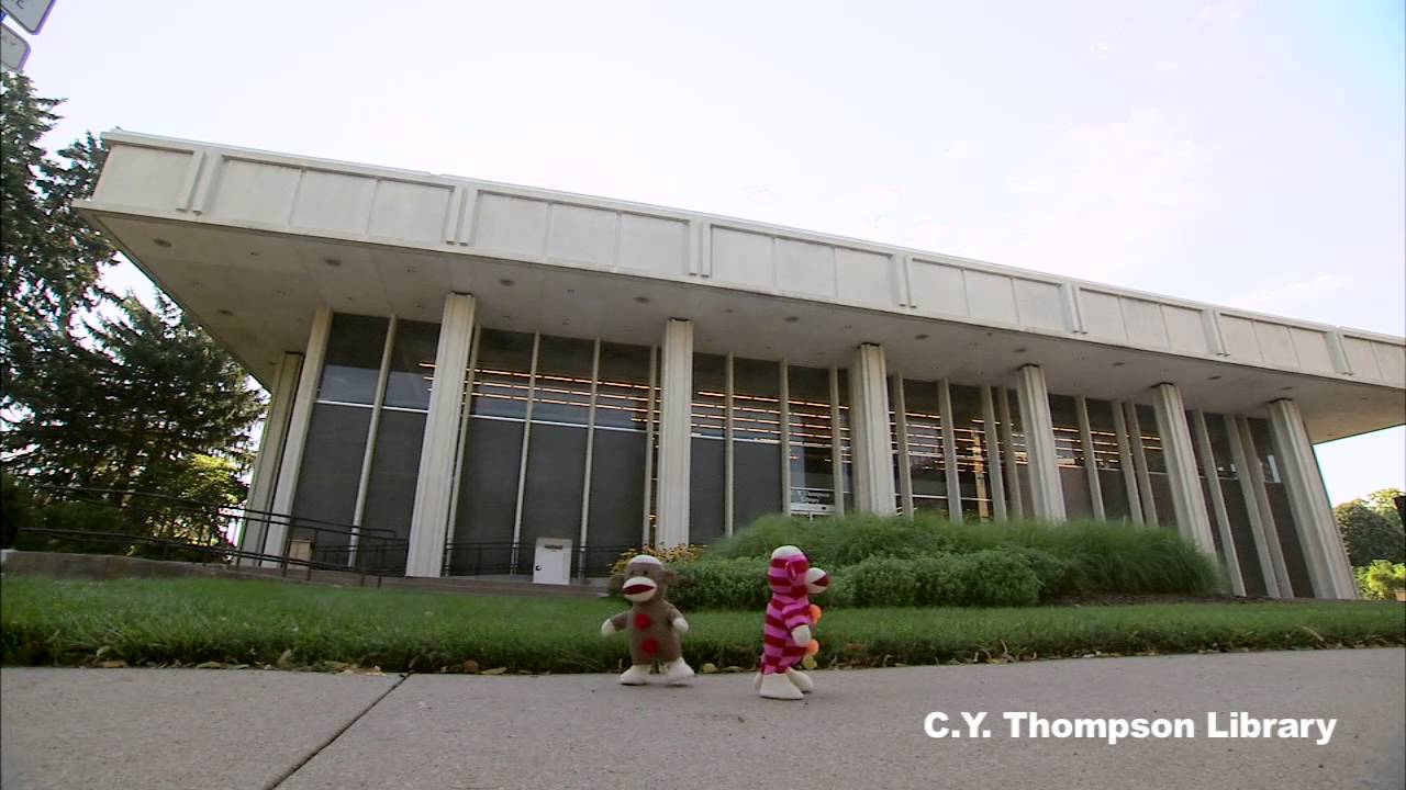 Sock Monkey by the String Beans - YouTube