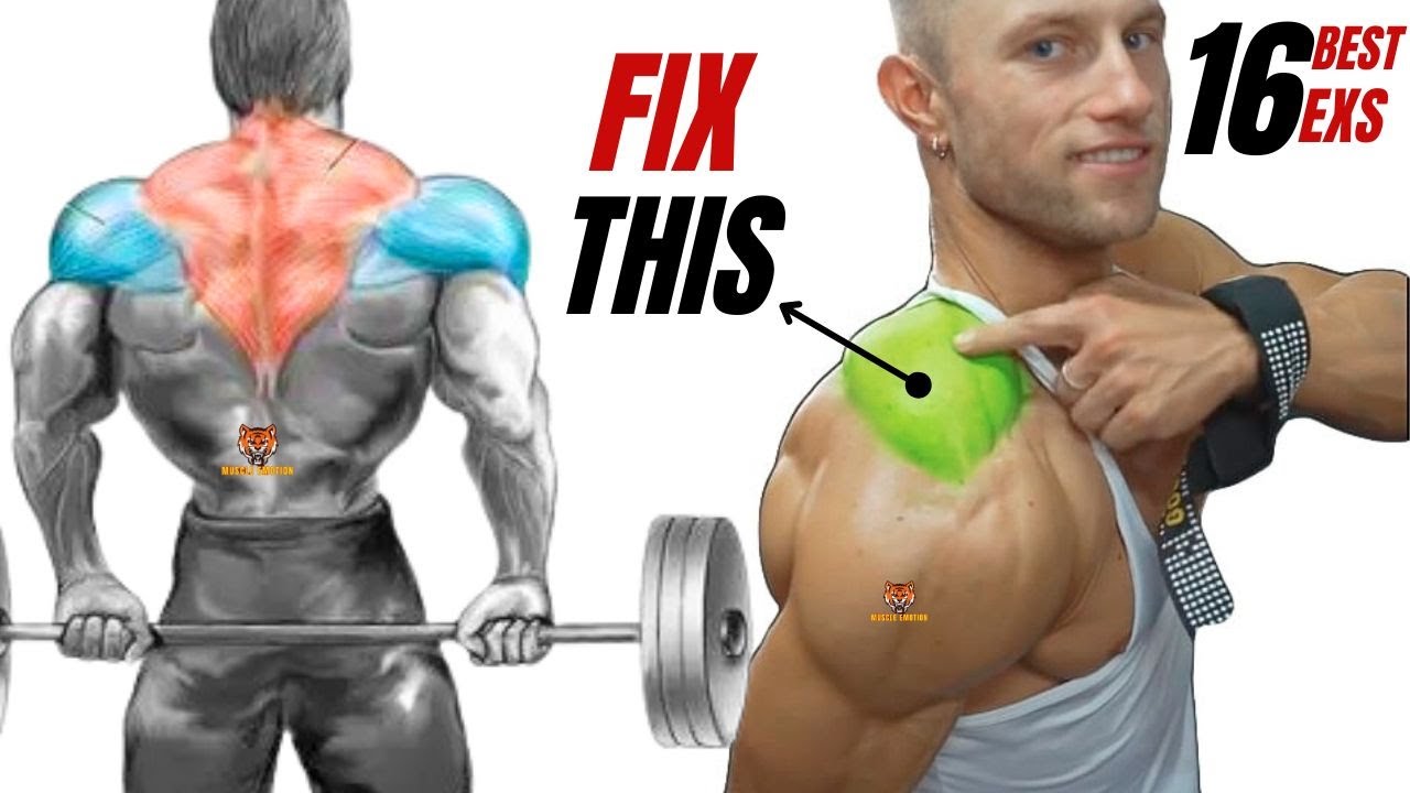 TRAPS WORKOUT- 16 best traps exercises at gym - YouTube