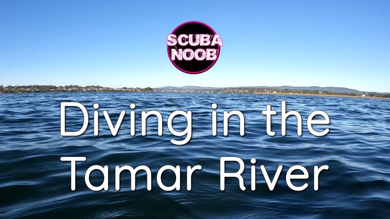 Diving in the Tamar River - YouTube