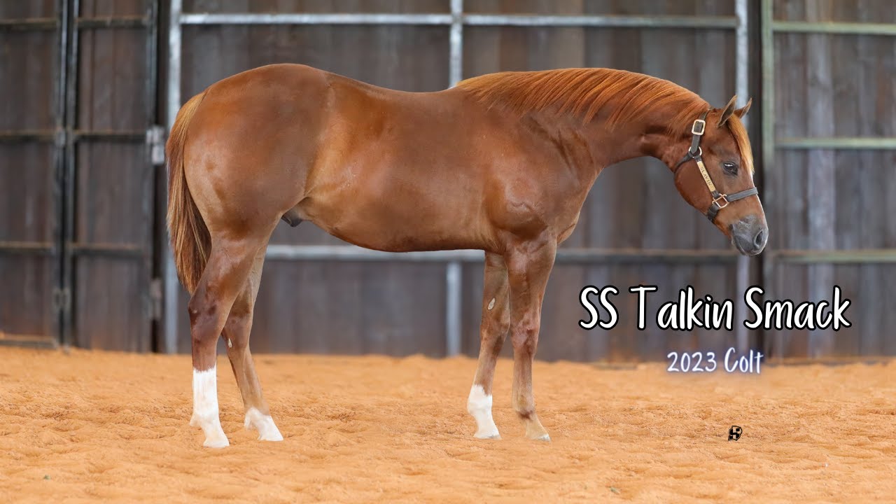 SS TALKIN SMACK - HIP 34 - YouTube