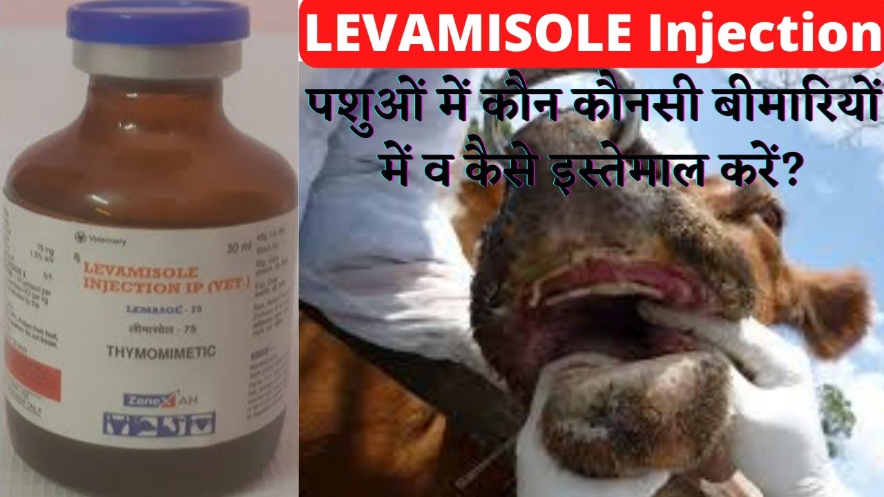Lemasol 75 Inj | levamisol injection zydus | Levamisole inj use in ...