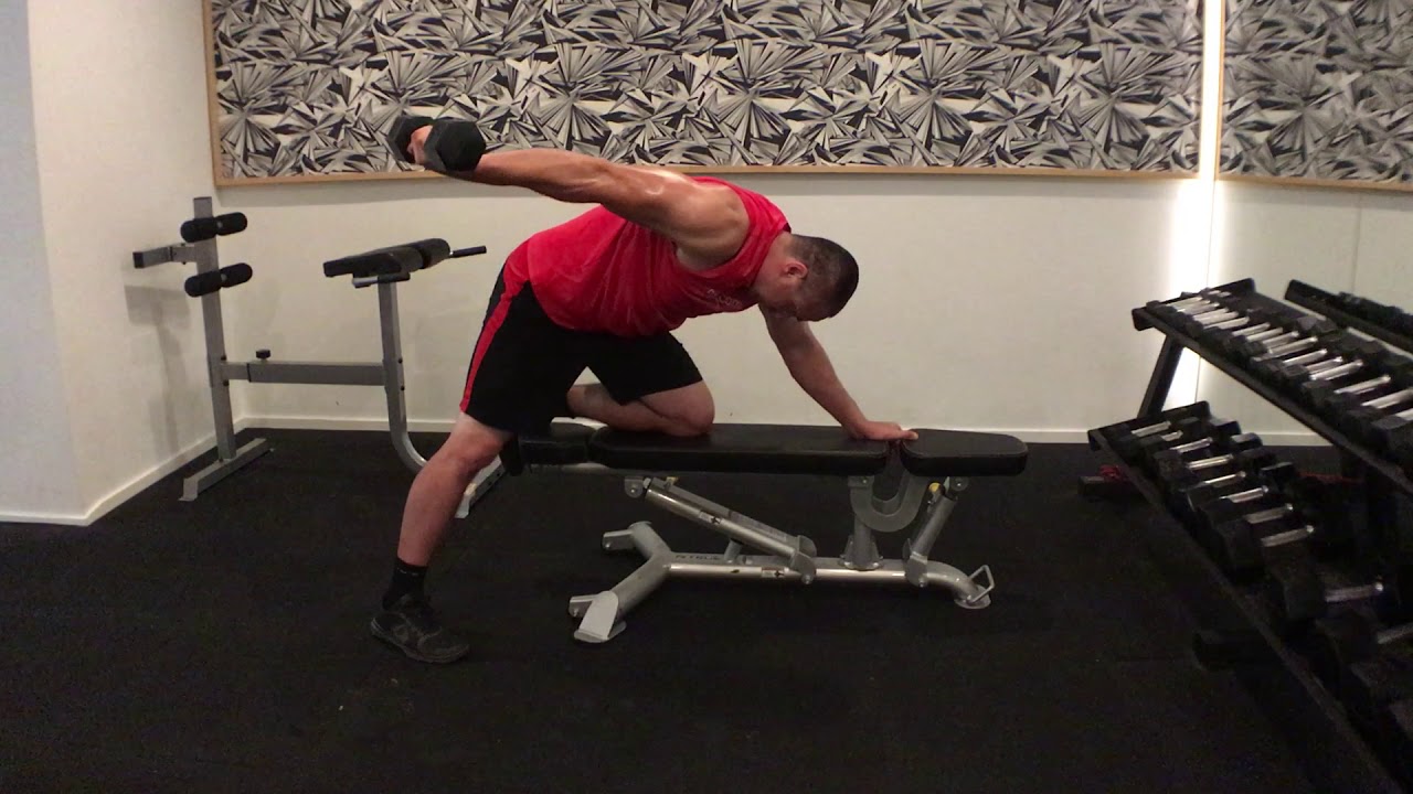 Triceps Exercise - Kickbacks with Palm Up #arms #armsworkout #triceps ...