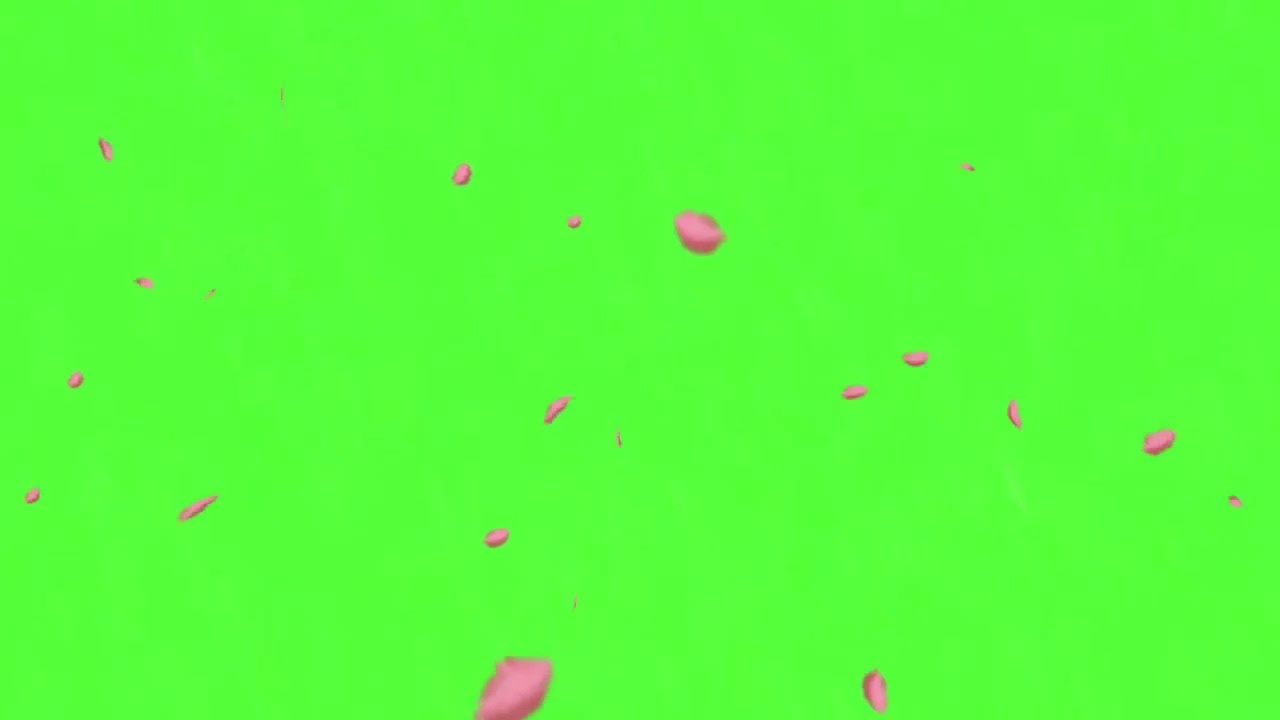 Green screen bunga sakura! - YouTube