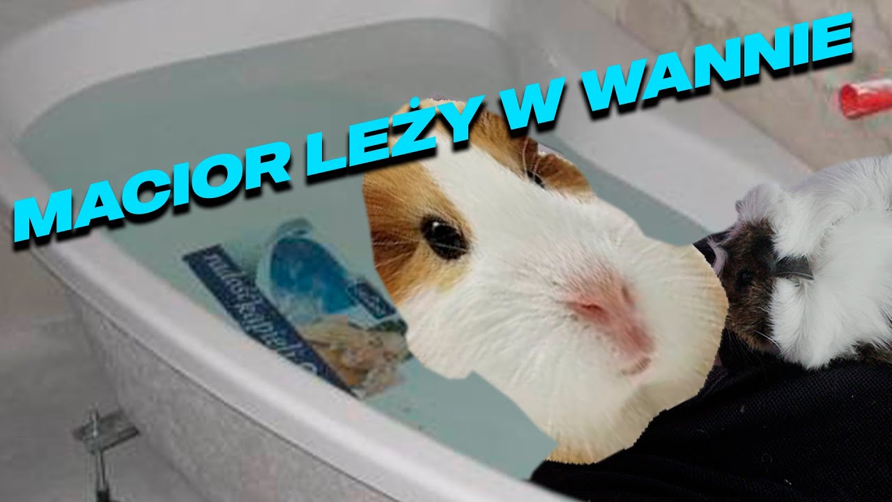 MŁODY MACIOR x SKUTYMACIOR - MACIOR LEŻY W WANNIE (Taco Hemingway - W ...