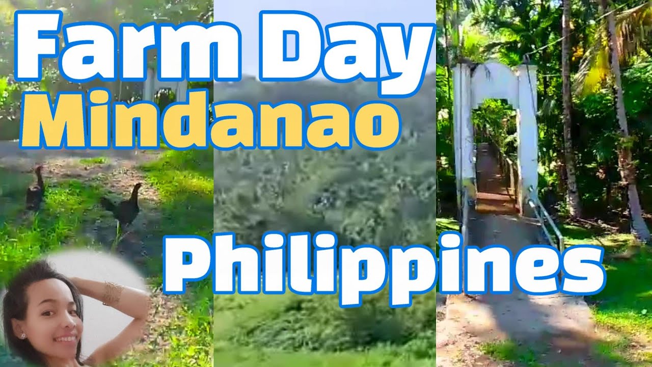 Our Farm Mindanao Philippines - YouTube