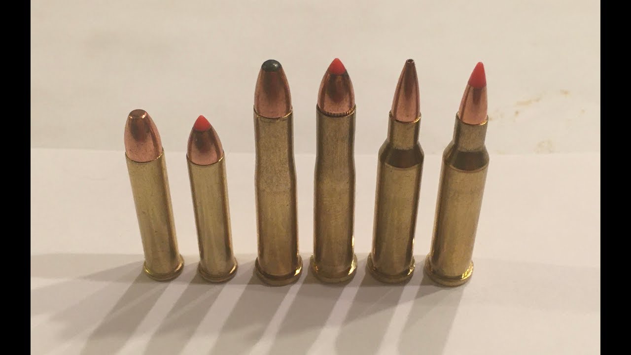 22 Mag Vs 22 Hornet Vs 17 Hornet Vs Chronograph Vs Steel YouTube 22 Mag Vs 22 Hornet Vs 17 Hornet Vs Chronograph Vs Steel YouTube