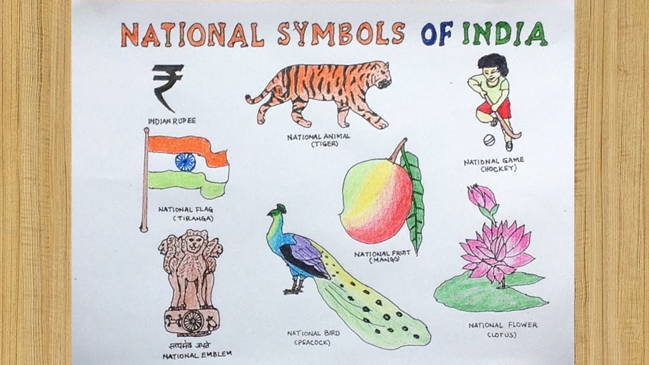How To Draw National Symbols Of India National Symbols Of India how-to-draw-national-symbols-of-india-national-symbols-of-india