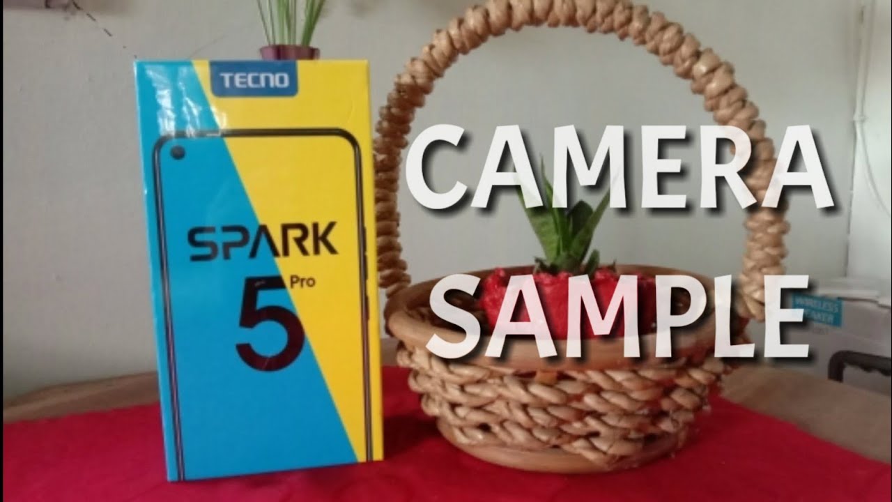 TECNO SPARK 5 PRO 2020 | CAMERA SAMPLES OF DIFFERENT ORNAMENTAL PLANTS ...