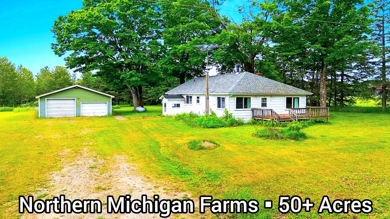 Michigan Land For Sale | $199k | 50 Acres | Hunting Land For Sale ...