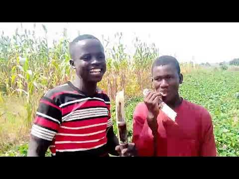 Gasar wakar chass ta Ado gwanja 2022 - YouTube