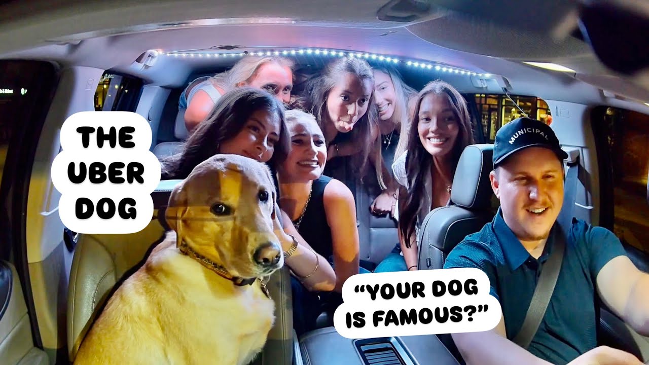 Riders Meet The Famous Uber Dog! - YouTube