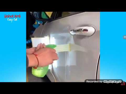 Rahatlatıcı videolar rahat kedi abone olun