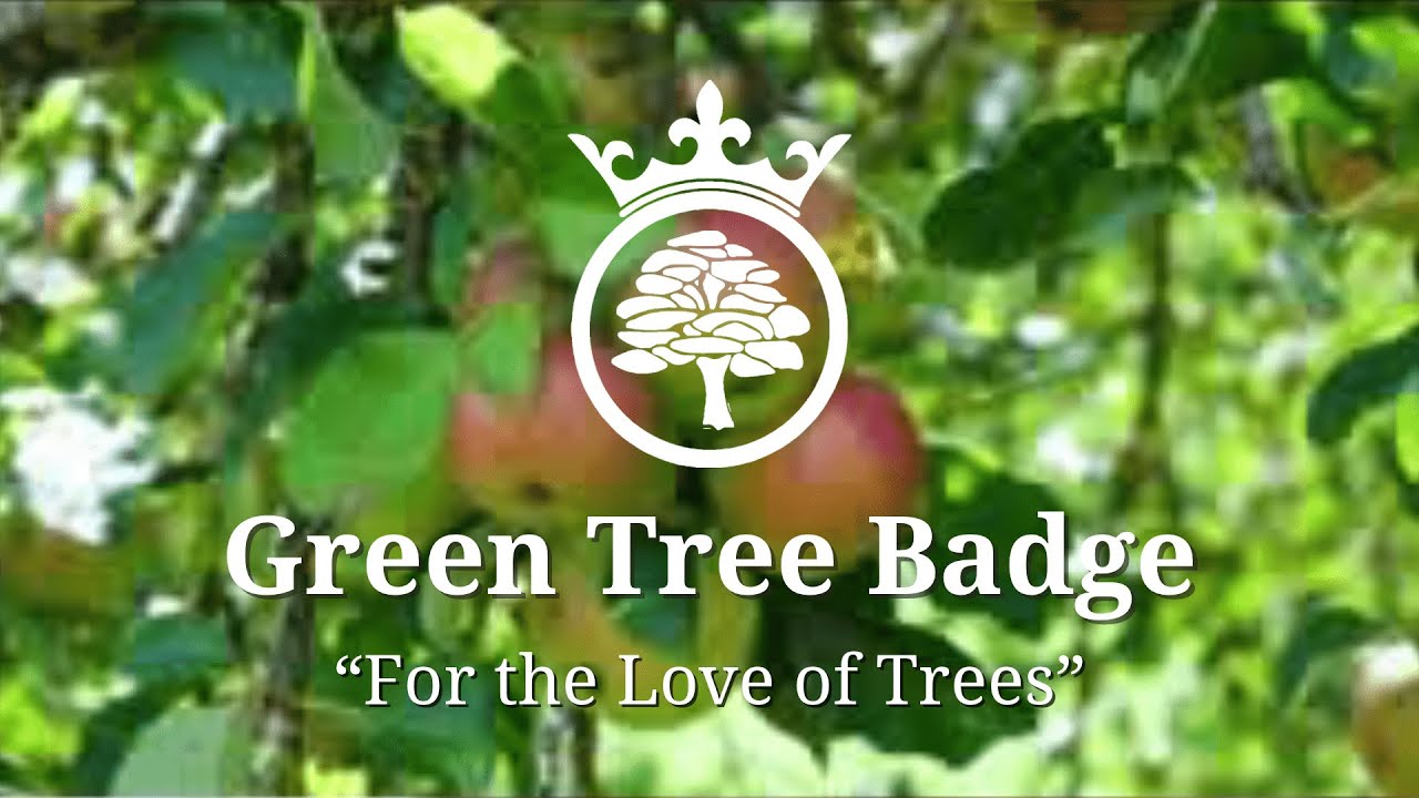 Green Tree Badge: For the Love of Trees | Bags of Ethics | Royal ...
