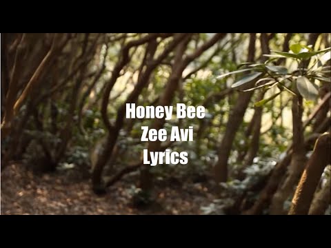 Honey Bee - Zee Avi (Lyrics) - YouTube
