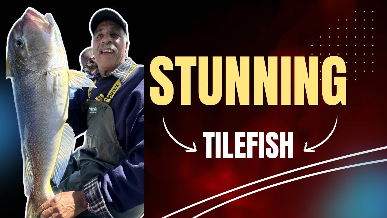 Herring is the bait of choice for tilefish with Reel World Charter ...