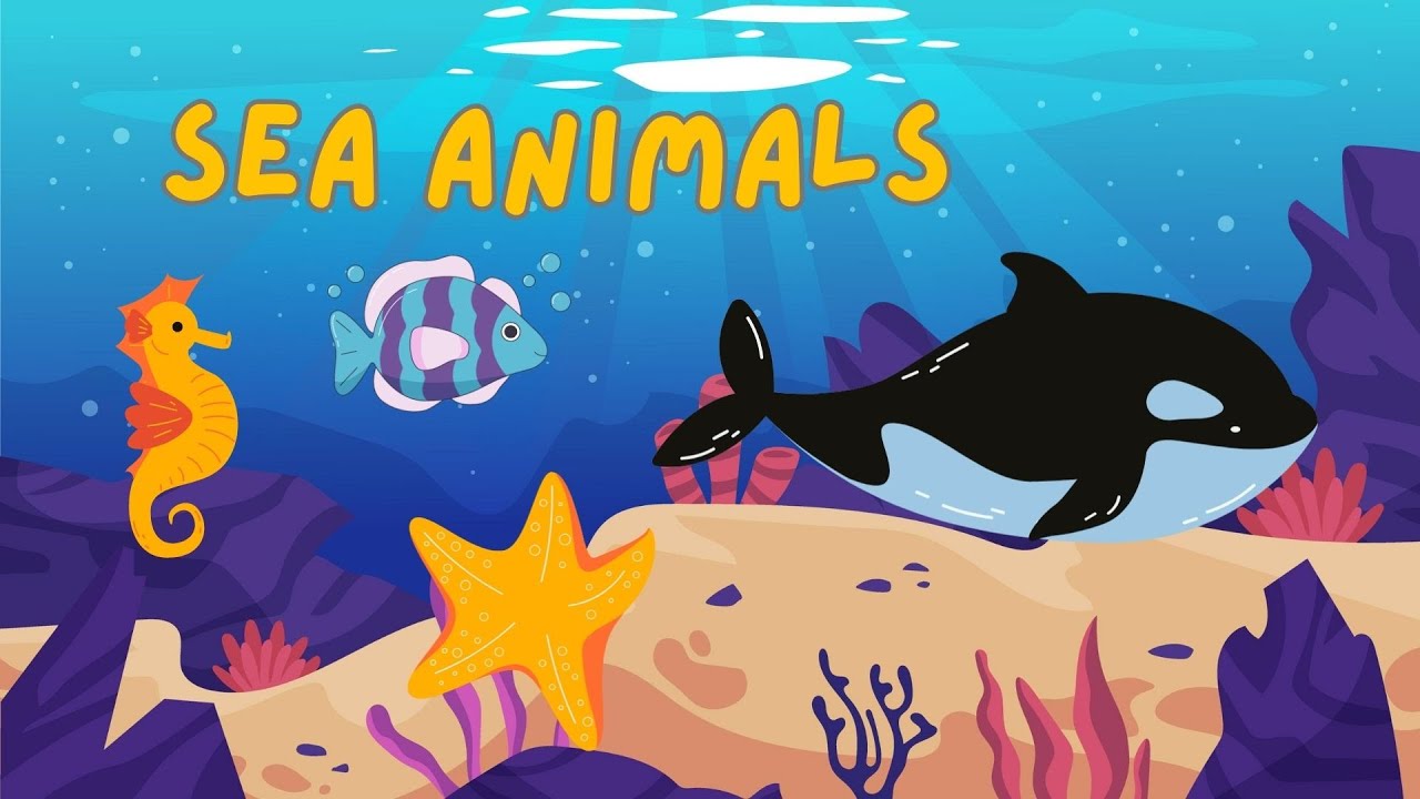 Learn sea animals | Learn English | Learn vocabulary - YouTube