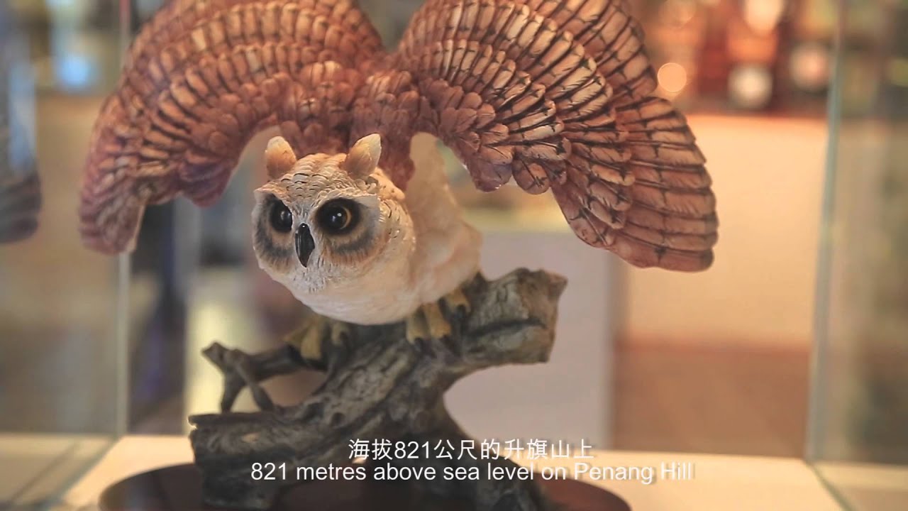 #4 Owl Museum - Penang Live It Love It! - YouTube