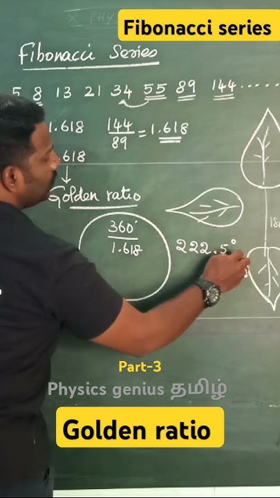 Fibonacci|series|Golden|ratio|Physics genius tamil - YouTube