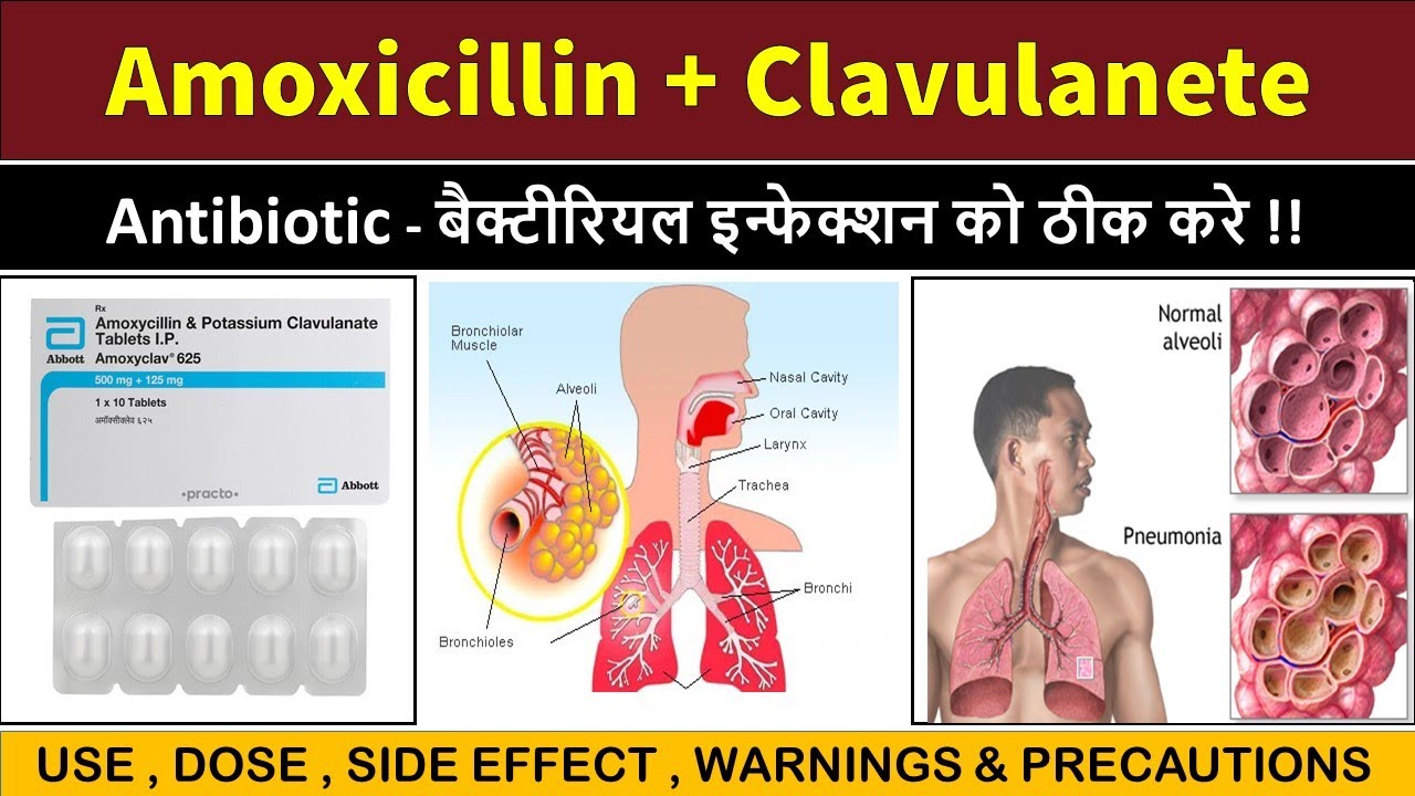 amoxicilline and potassium clavulanete | amoxyclav 625 | cipmox cv 625 ...