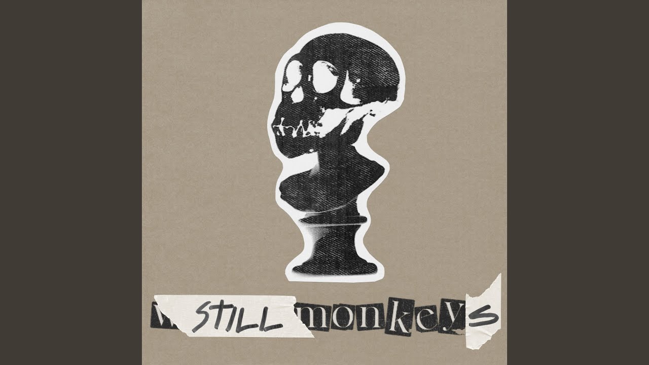 Still Monkeys - YouTube